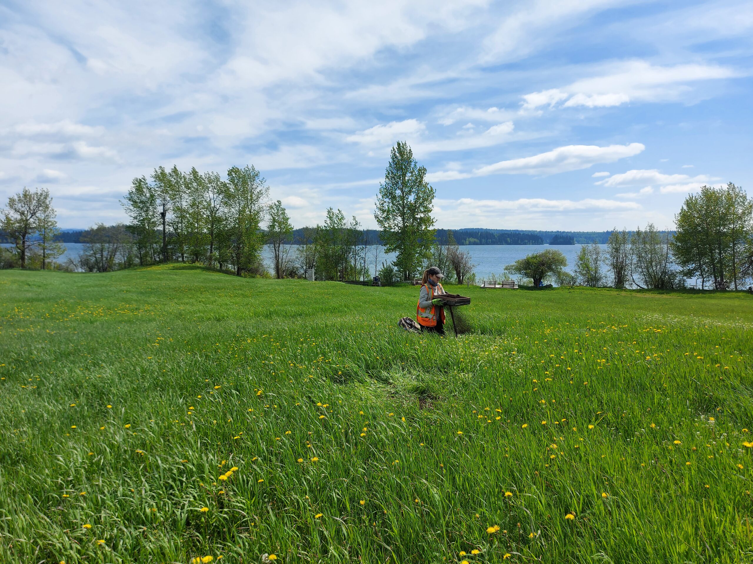 Circle Digs: The One Flake Wonder - Circle CRM Group Inc.